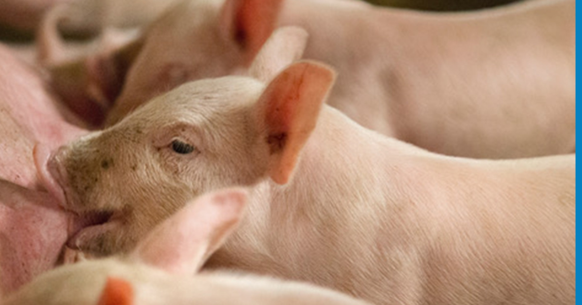 29 Ottobre. Seminario: Ambiente, sostenibilità e benessere nell ...